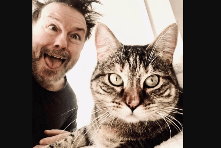 Ricky Gervais & 10 other 'crazy' celebrity cat people - MediaFeed
