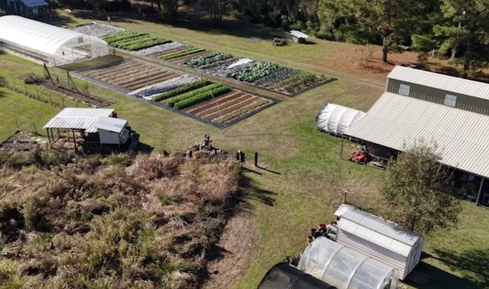 Meet the Louisiana family farm keeping Cajun culture alive & kicking ...